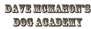 cropped-daves-New-banner_western.png - Dave McMahon