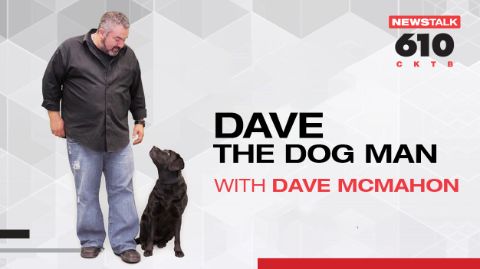 About Dave - Dave McMahon